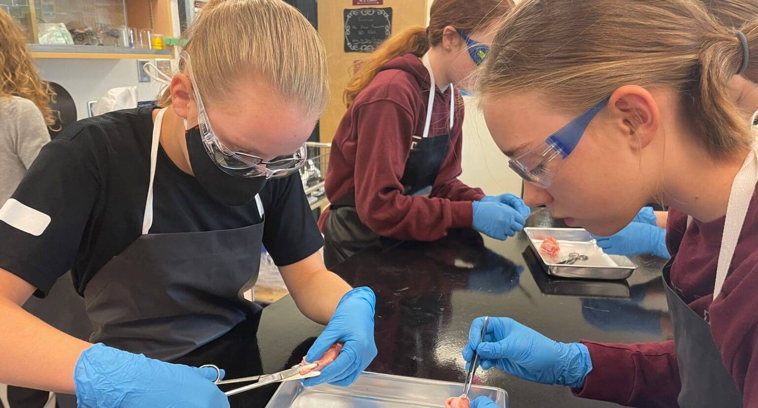 OpenSciEd Middle School - Activate Learning