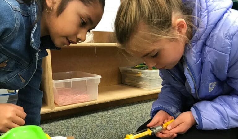 Unlocking Young Minds: The Power of Phenomena-Based Science Learning ...