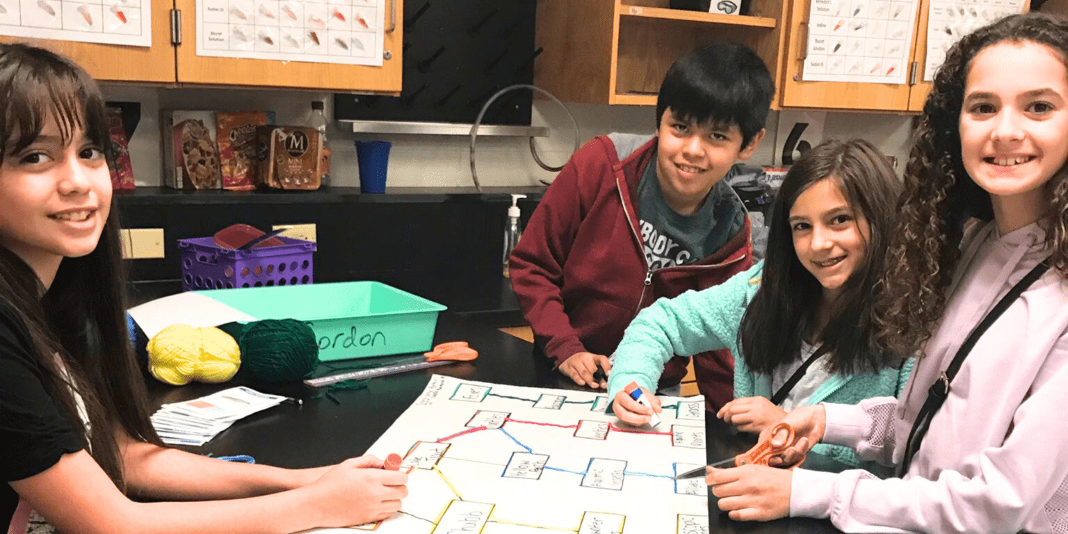 3-Dimensional Assessments in OpenSciEd | Activate Learning