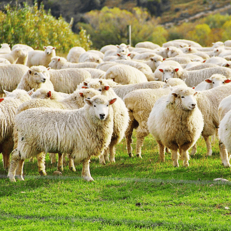 Teaching Students About Viruses and Vaccines: 7 Free Lessons and Poster ...