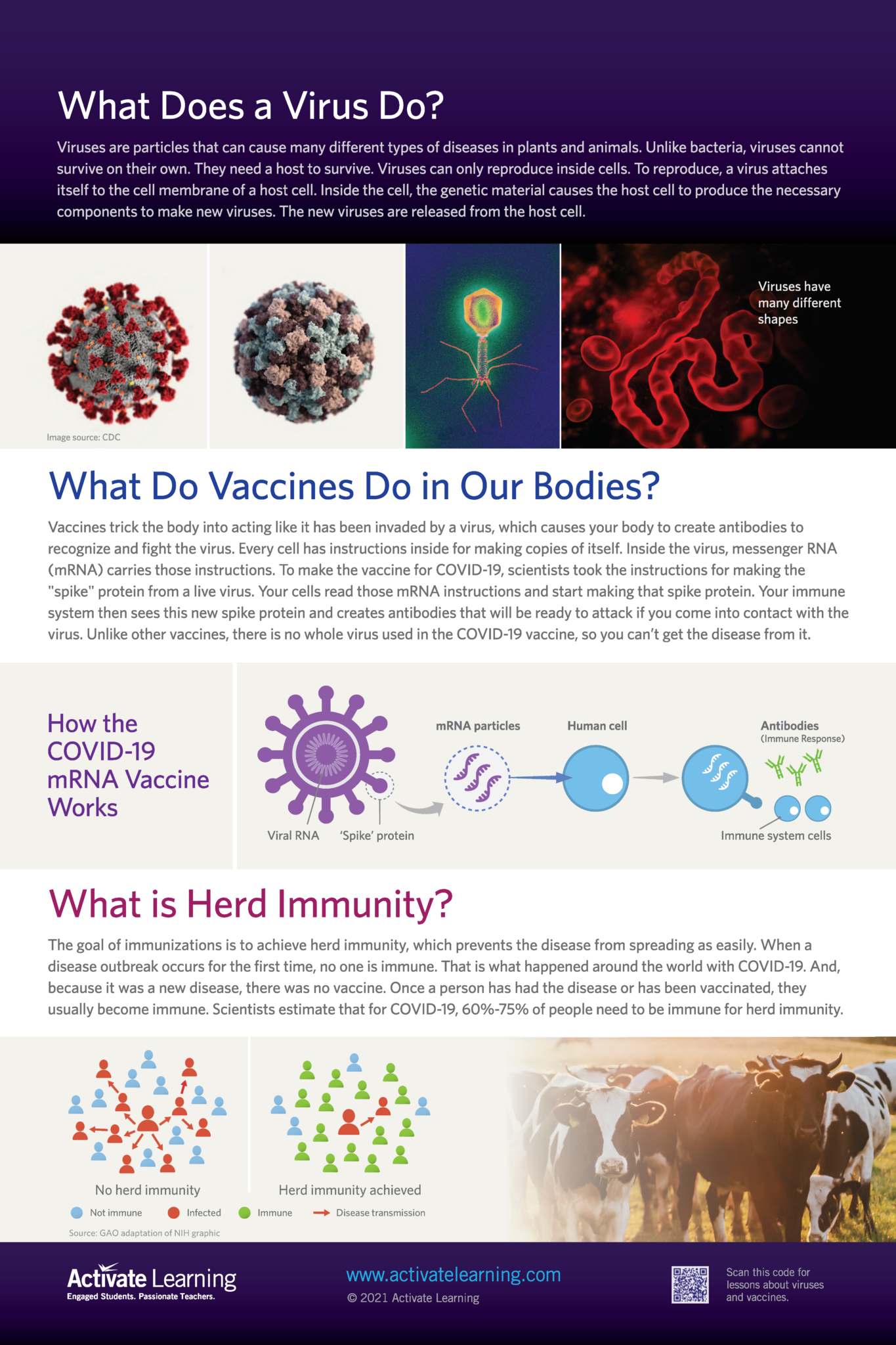 Teaching Students About Viruses and Vaccines: 7 Free Lessons and Poster ...